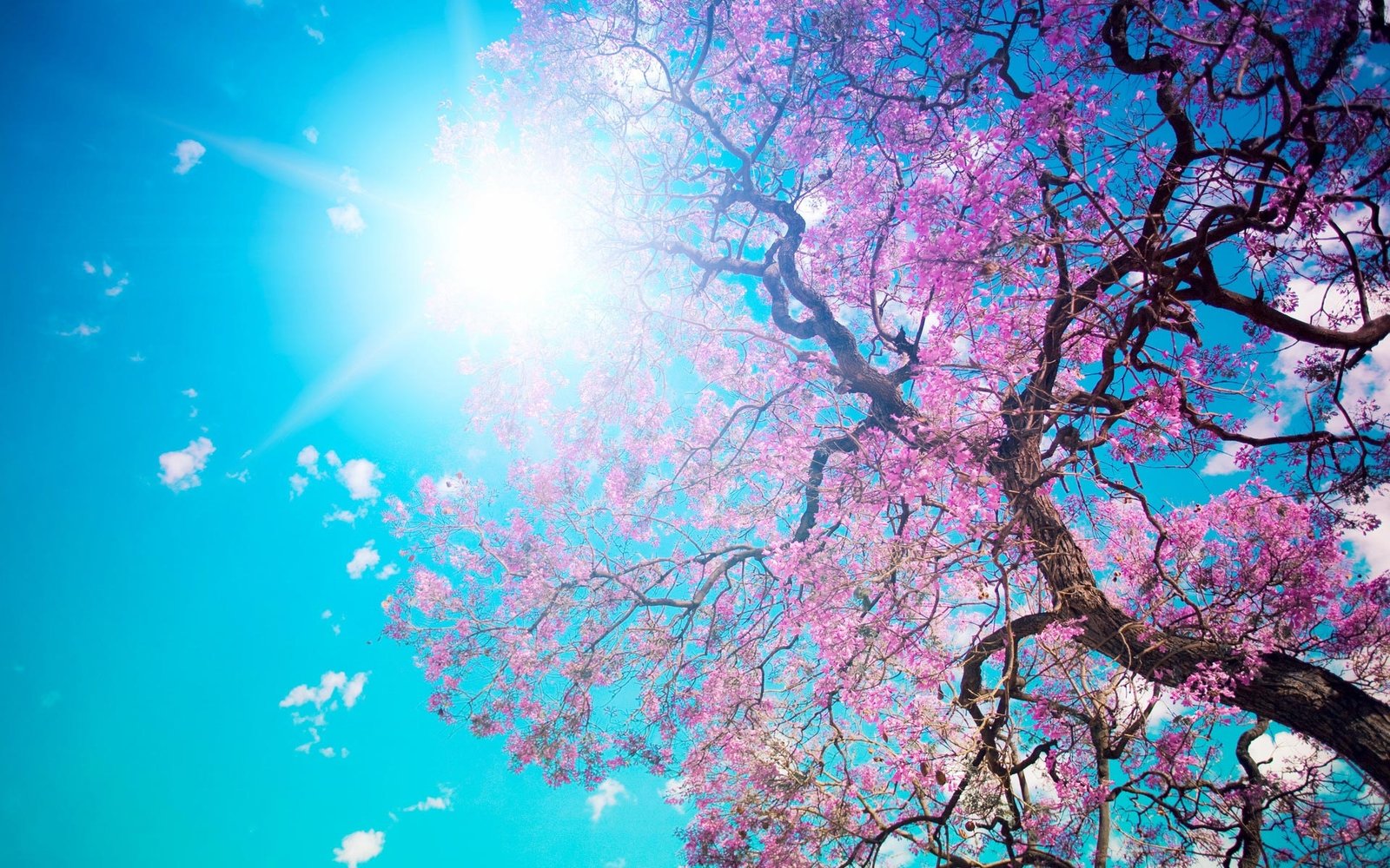 30 Wonderful Desktop Backgrounds The WoW Style